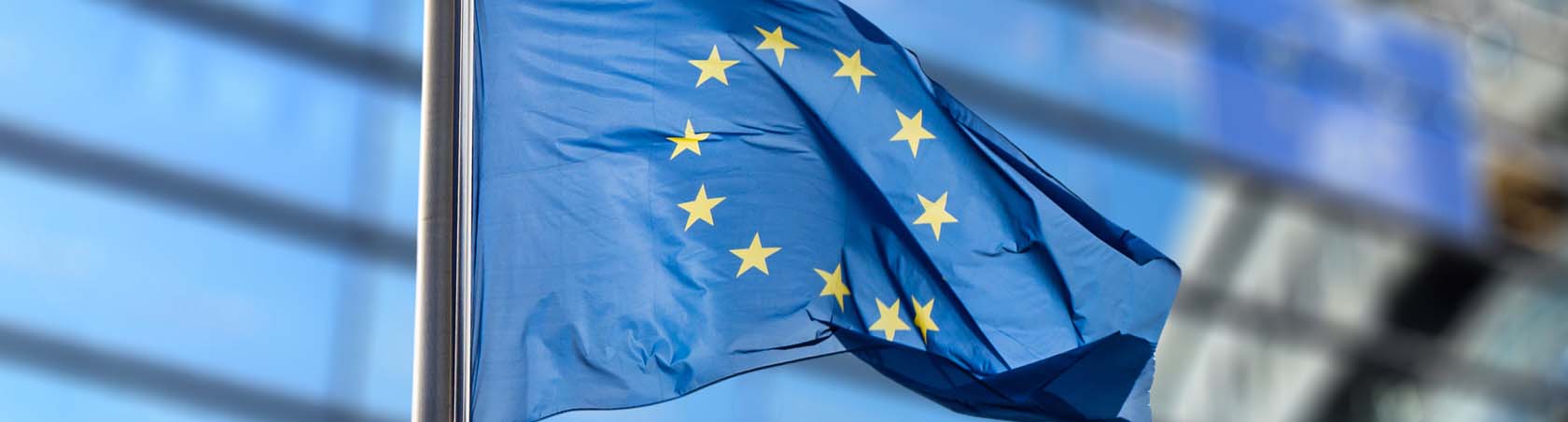 Business Tips for Shipping to the EU | Case Study | Parcel2Go